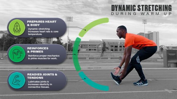 The Essential Role of Dynamic Warm-Ups - Express Fitness